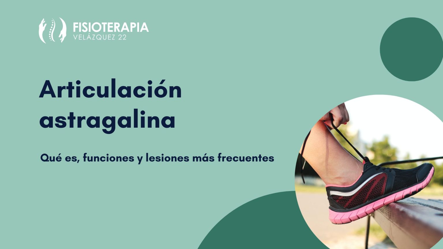 Articulación astragalina: Qué es, funciones y lesiones frecuentes